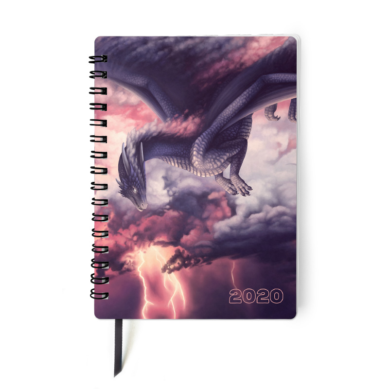 Weekly Planner Diary 2020 Wings of Storm • ChciDraky.cz